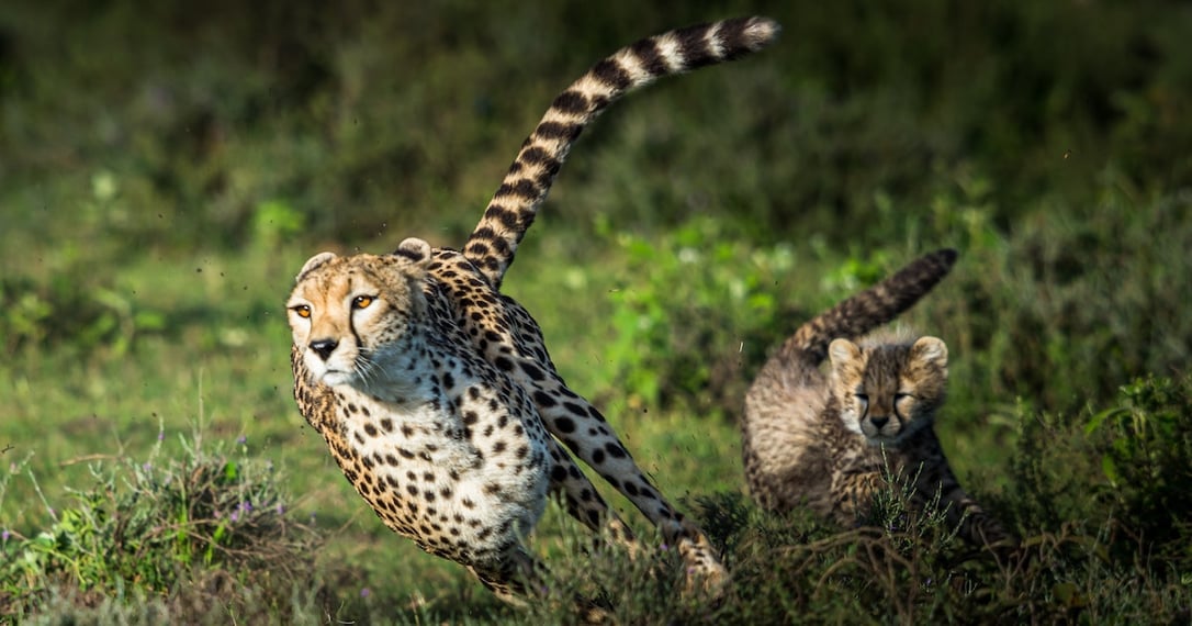 What's Moving Faster?